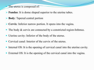 Accessory organs of female reproductive system PART 6 | PPTX