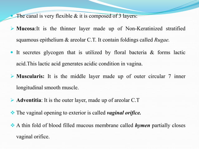 Accessory organs of female reproductive system PART 6 | PPTX ...