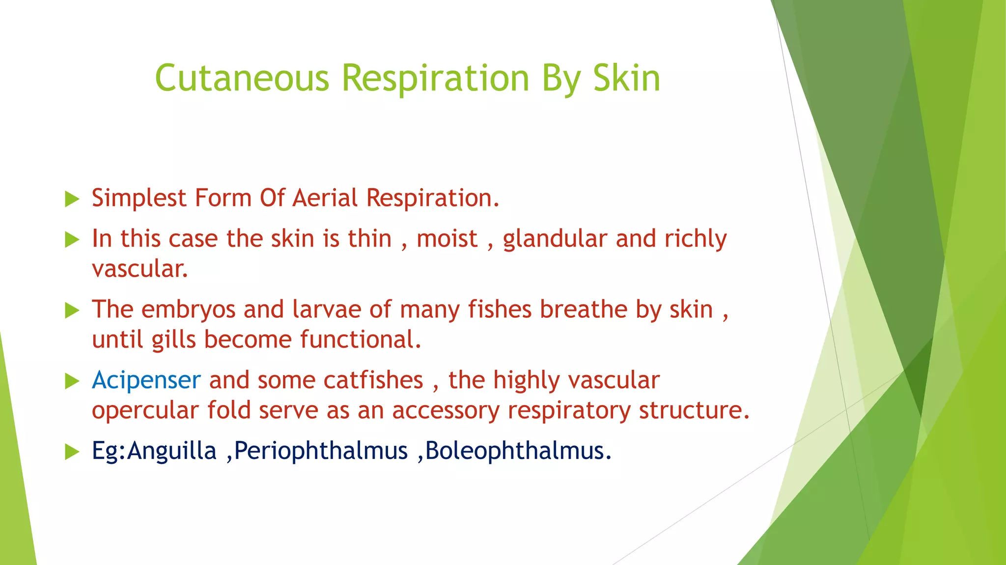 Accessory respiratory organ in fishes | PPTX