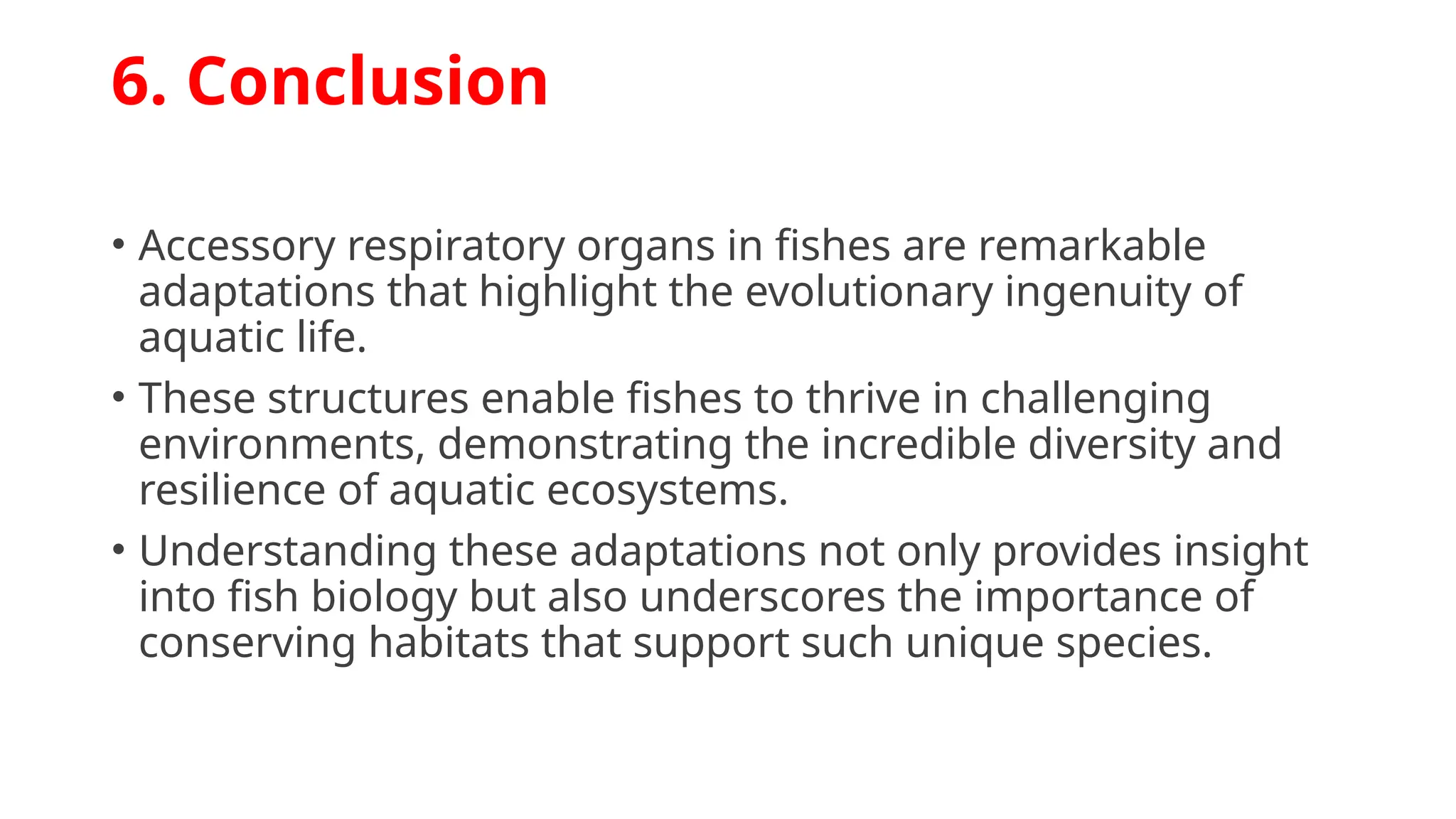 Accessory Respiratory organs in fishes. ppt | PPTX