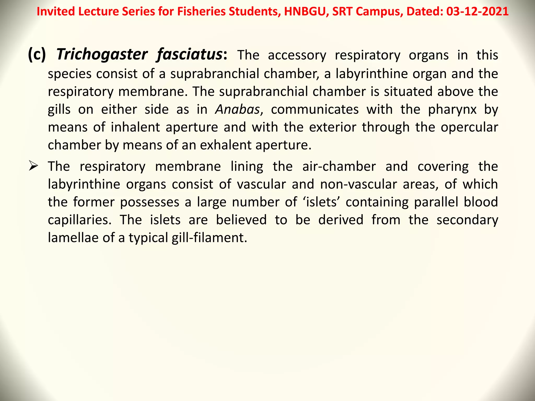 Accessory Respiratory organs in Fishes.pptx