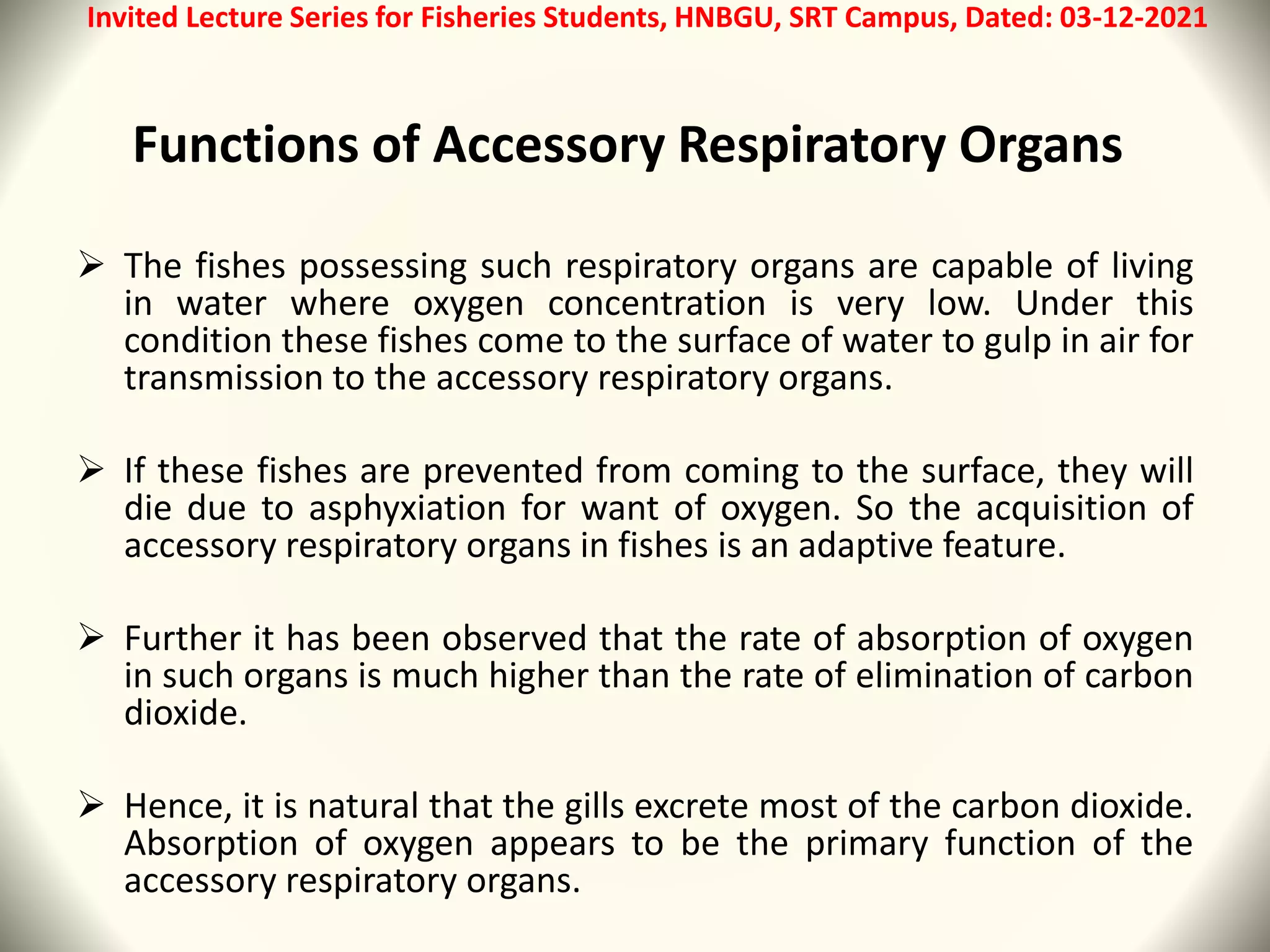 Accessory Respiratory organs in Fishes.pptx