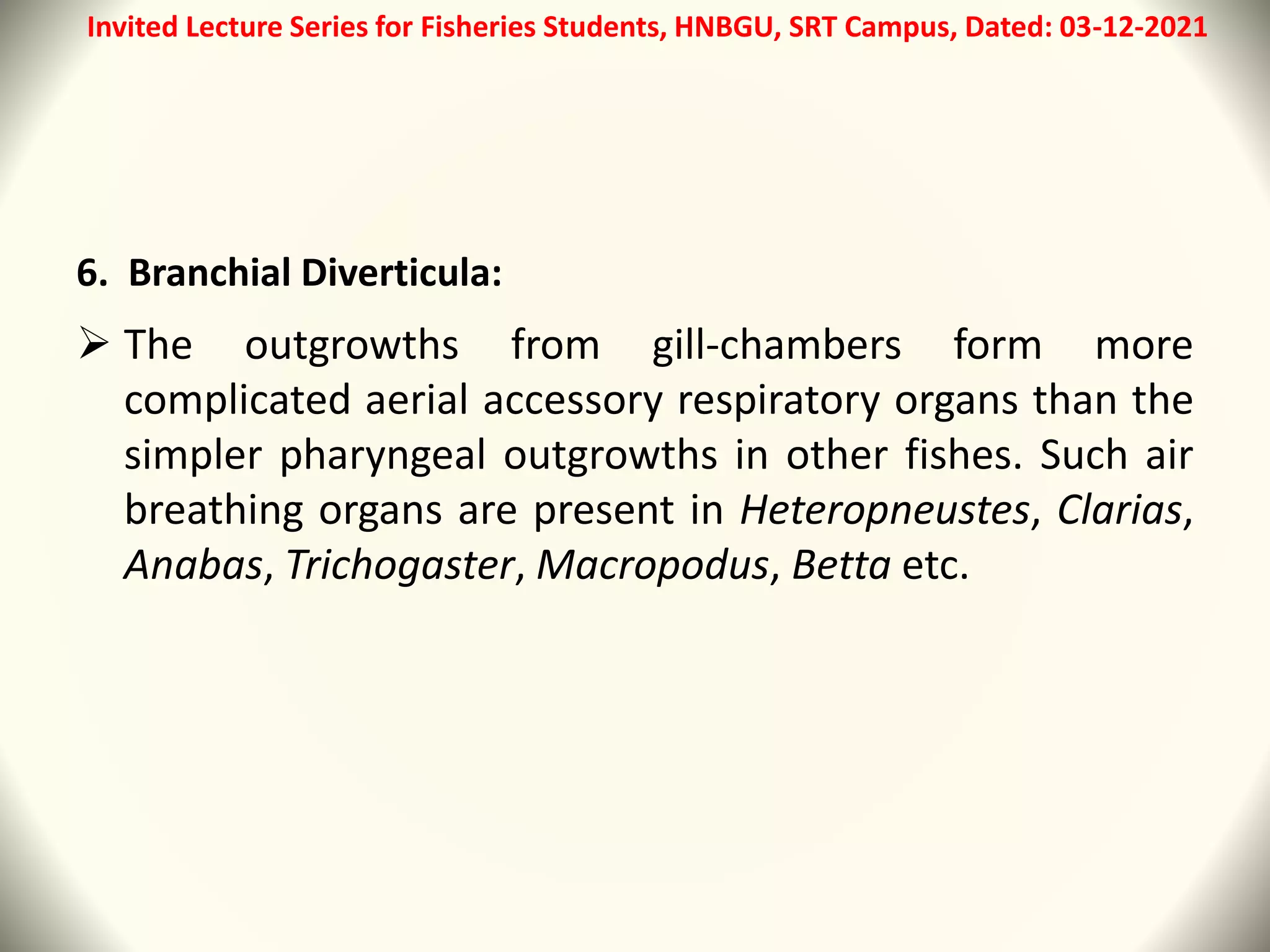 Accessory Respiratory organs in Fishes.pptx