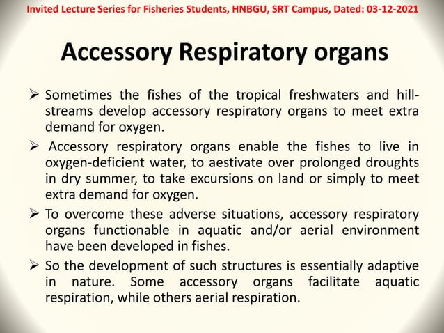 Accessory Respiratory organs in Fishes.pptx | Fish and Aquariums | Pets