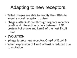 Access to host receptors | PPTX