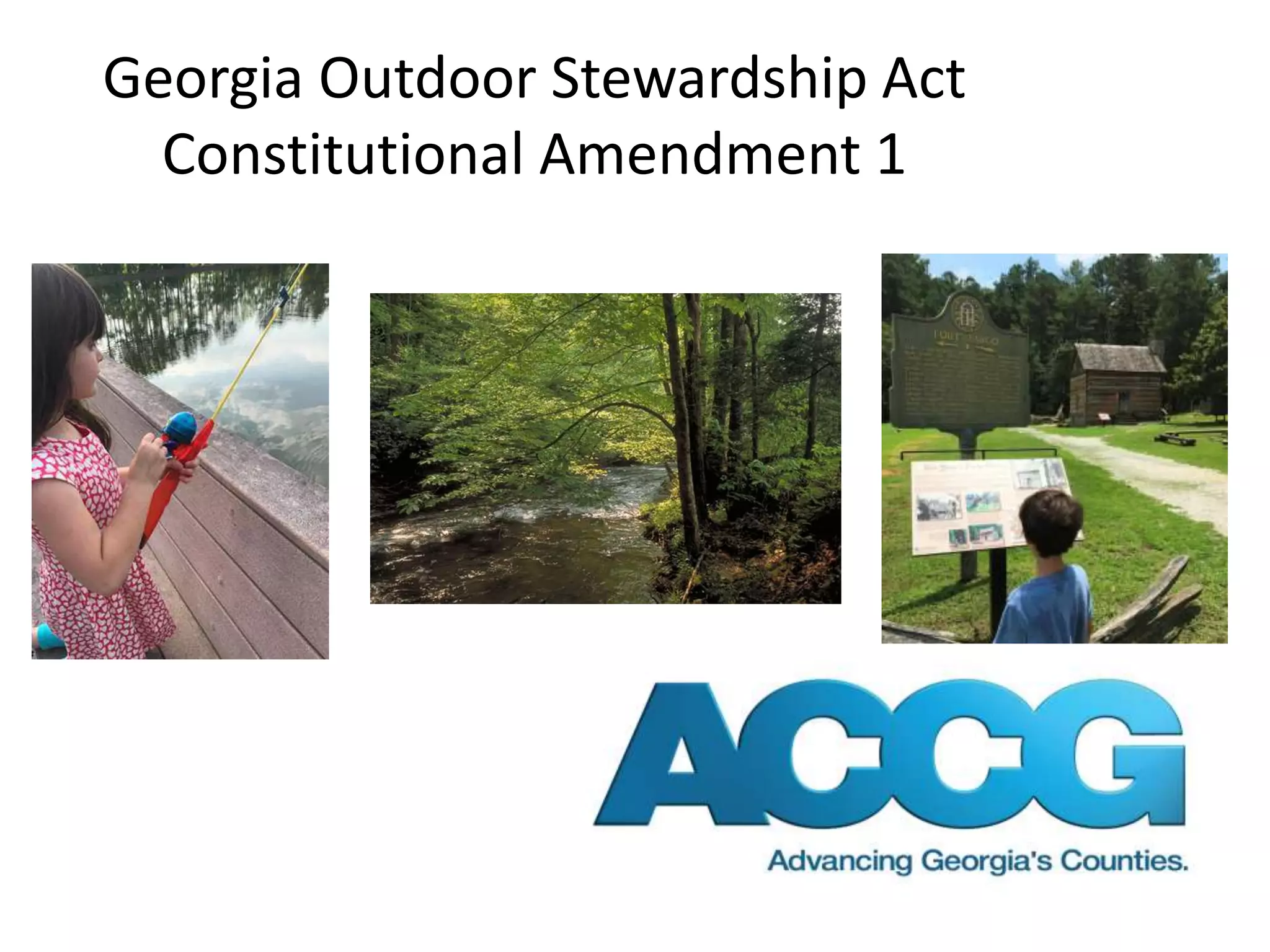 ACCG PPT Constitutional Amendments Final.pptx