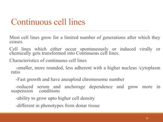 Animal cell culture and its techniques | PPTX