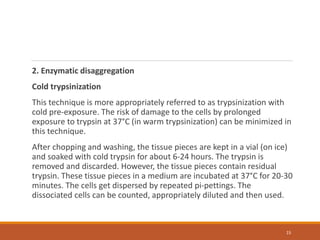 Animal cell culture and its techniques | PPTX