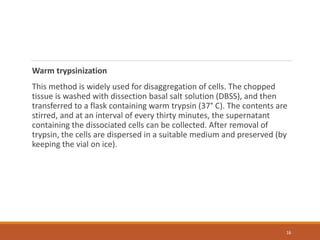 Animal cell culture and its techniques | PPTX