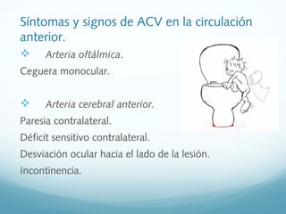 Accidente cerebro vascular | PPT