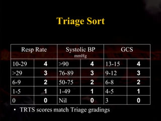 Accidentes mayores | PPT