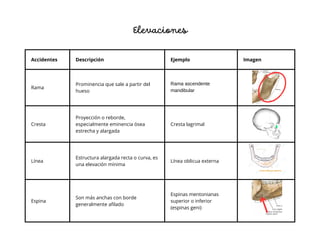 Tipos de accidentes óseos anatomía 1, con ejemplos e imágenes, tablas | PDF