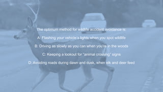 The Accident Avoidance Quiz | PPT