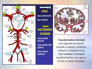 Accidentul vascular cerebral..... | PDF