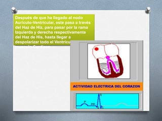 Acciones de Enfermeria Electrocardiograma | PPTX