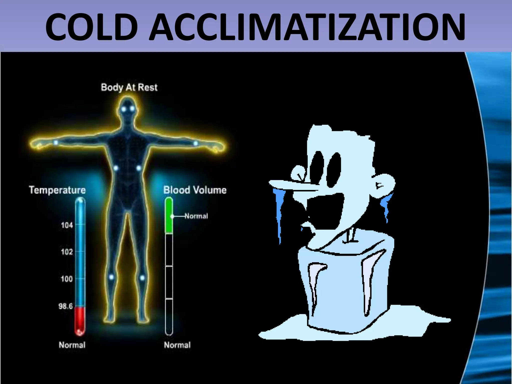 ACCLIMATISATION, HA DISEASES, COLD INJURIES-Maj Dr ID Khan | PPT | Free ...
