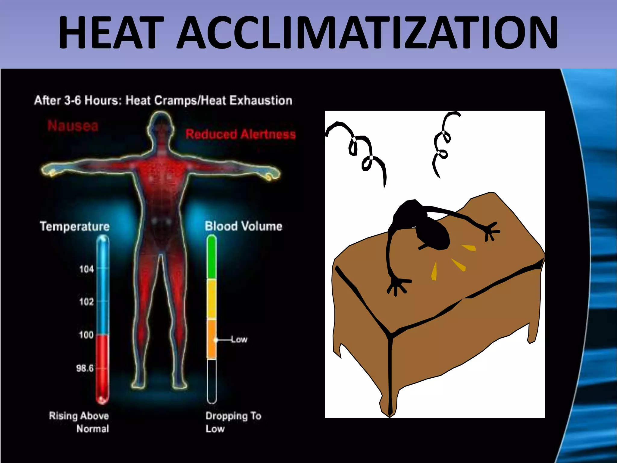 ACCLIMATISATION, HA DISEASES, COLD INJURIES-Maj Dr ID Khan | PPT