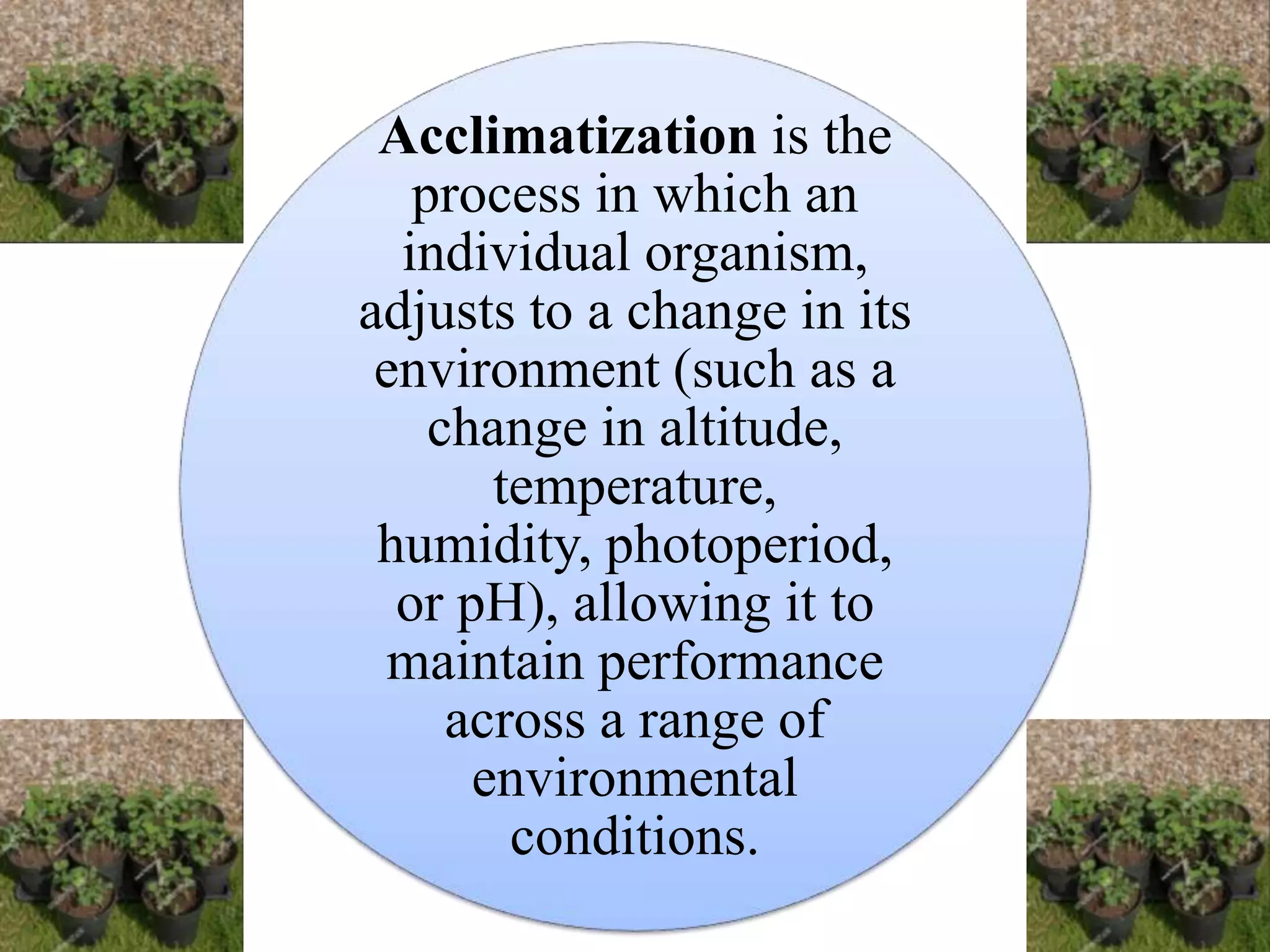 Plant Acclimatization | PPTX