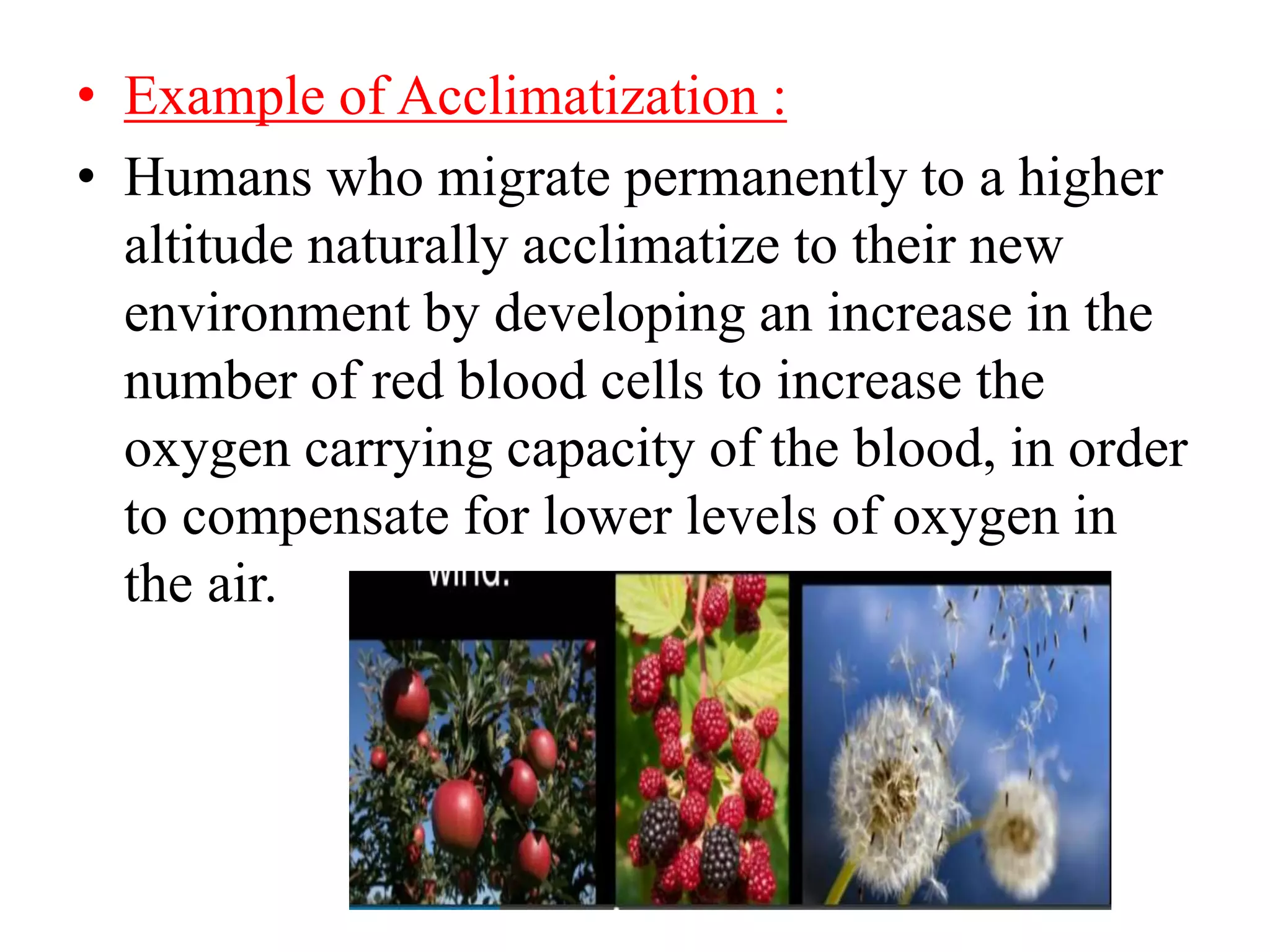 Plant Acclimatization | PPTX