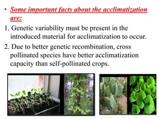 Plant Acclimatization | PPTX