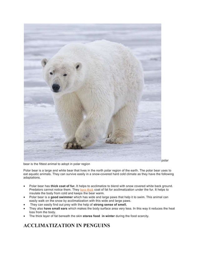 ACCLIMATIZATION.docx