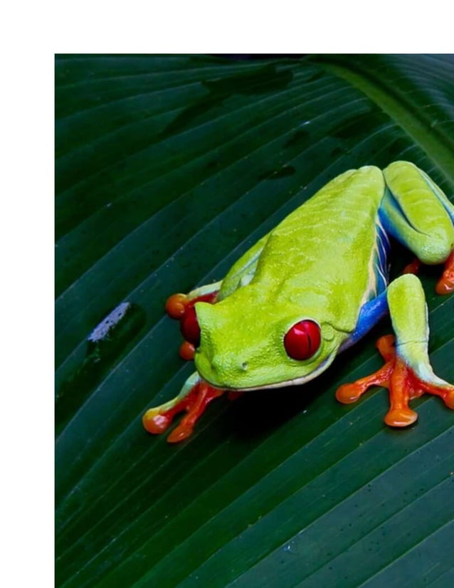 ACCLIMATIZATION.docx