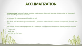 Acclimatization in micropropgation | PPTX
