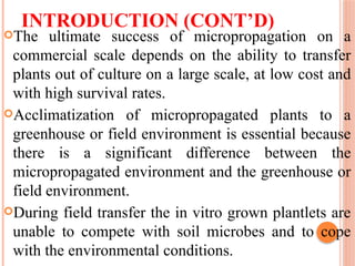 Acclimatization of Tissue Culture Plant.pptx