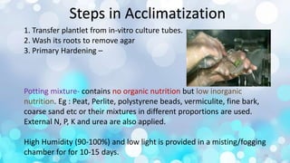 Acclimatization of plantlets | PPTX