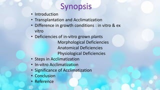 Acclimatization of plantlets | PPTX