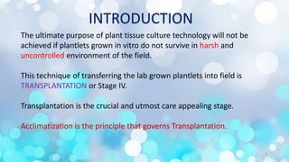 Acclimatization of plantlets | PPTX