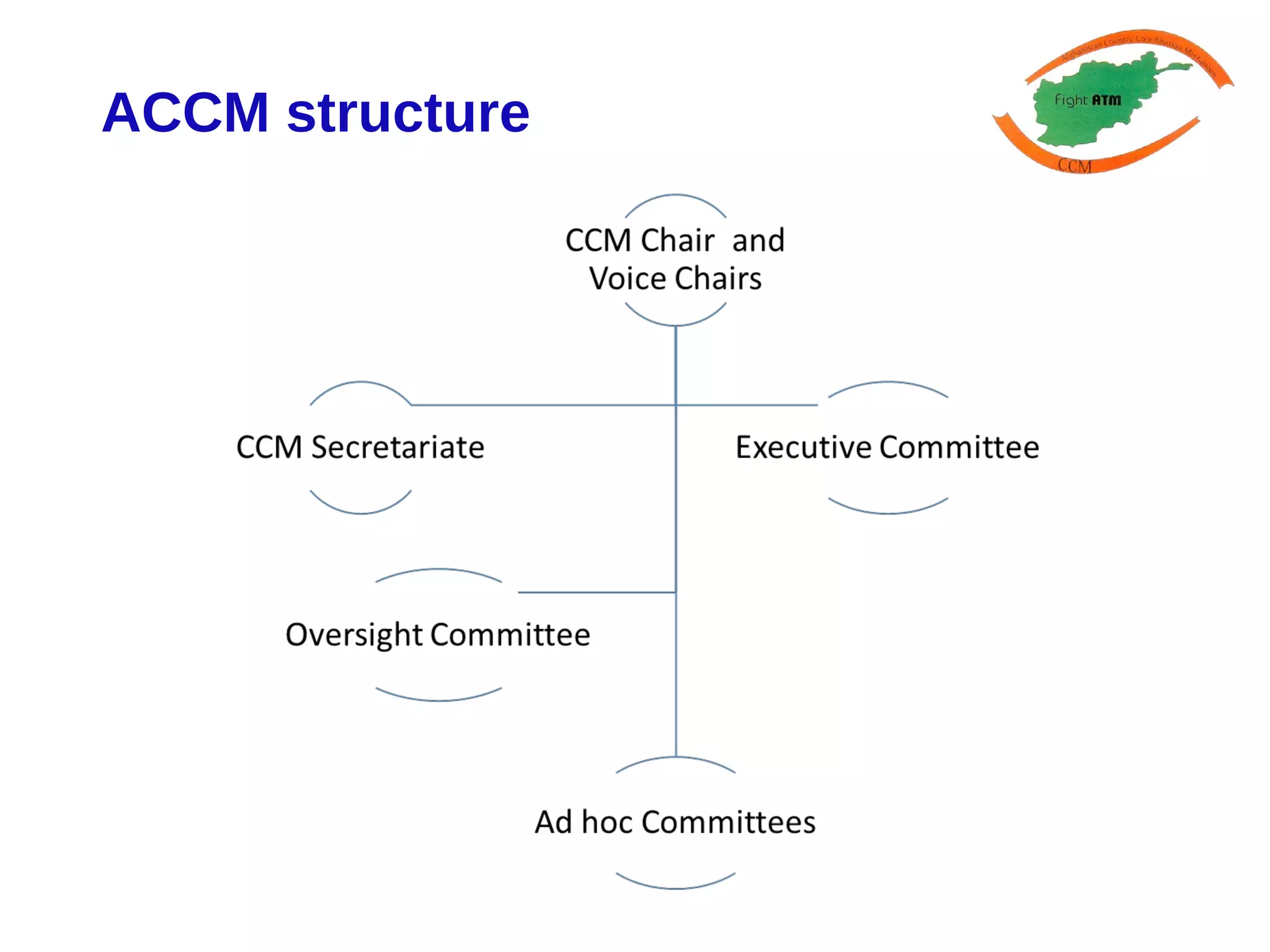 ACCM Governance Structure | PPT | Non-Profit Organizations | Industries