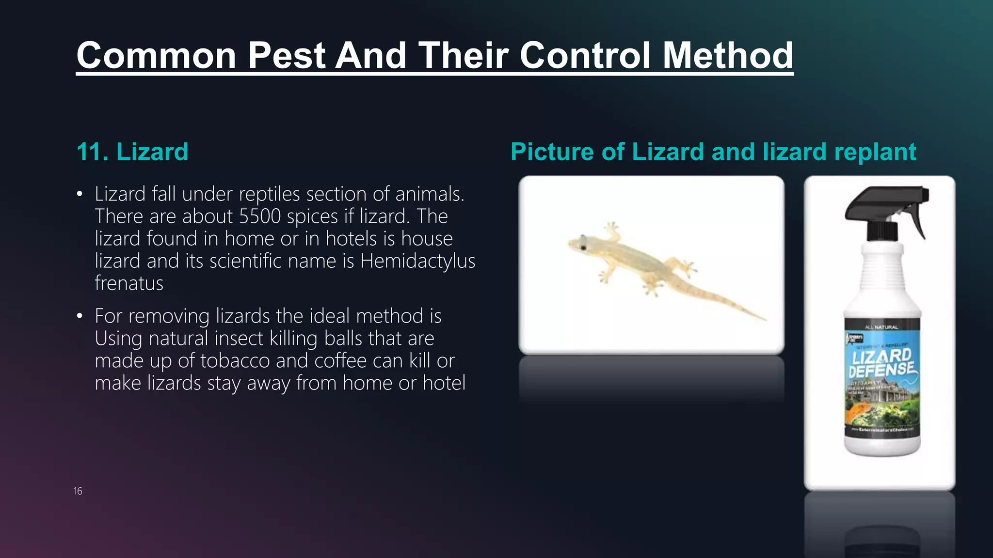 Pest and Pest Control in Hotel | PPTX