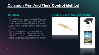 Pest and Pest Control in Hotel | PPTX