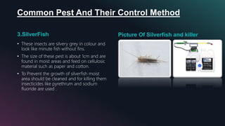 Pest and Pest Control in Hotel | PPTX