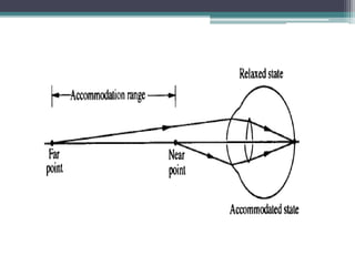 Accommodation | PPTX