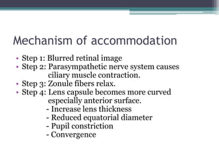 Accommodation | PPTX