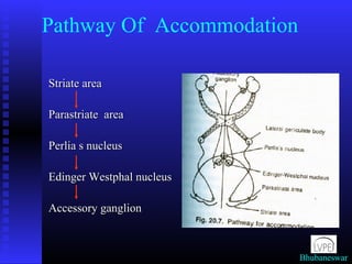Accommodation by Surendra Prasad sah | PPT