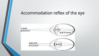 Accommodation power of the eye.......pptx
