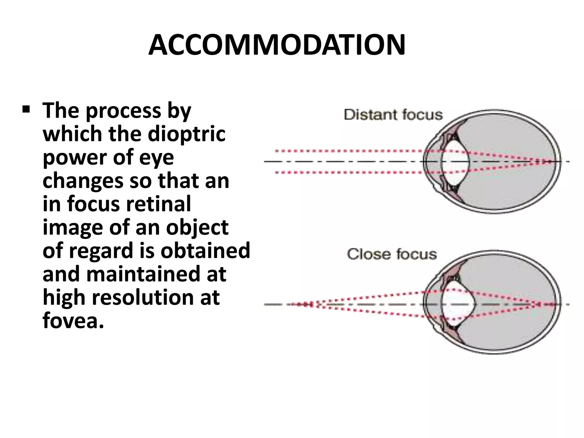 Accommodation: accommodative apparatus and its mechanism | PPTX | Eye ...