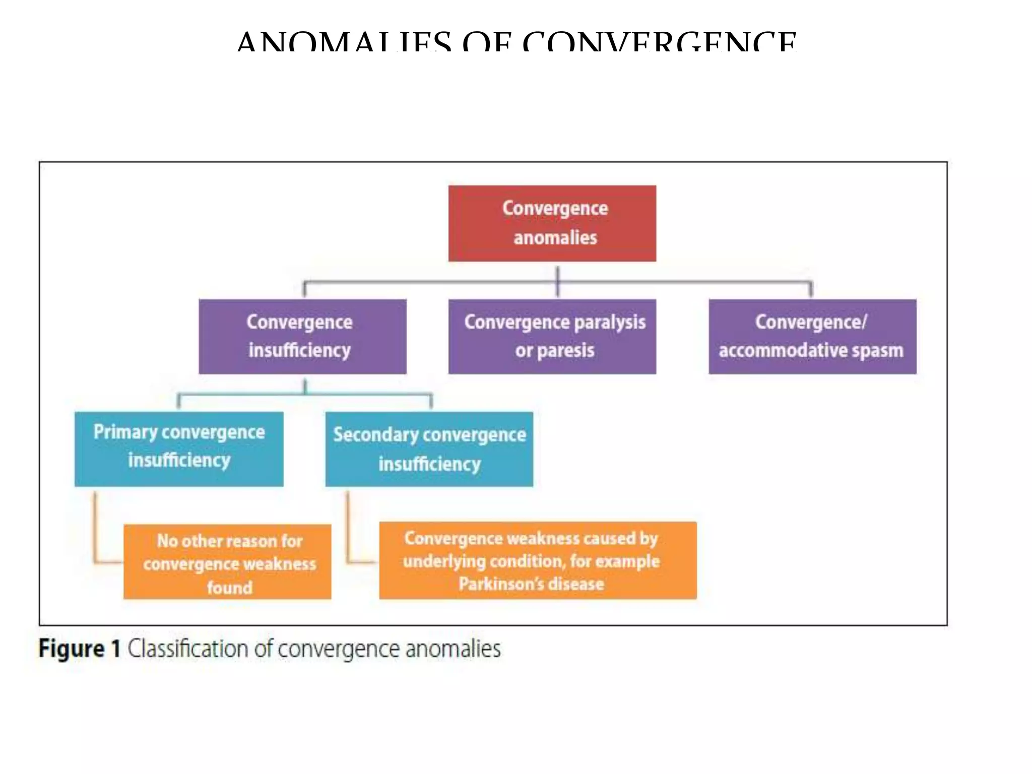 Accommodation and convergence | PPTX
