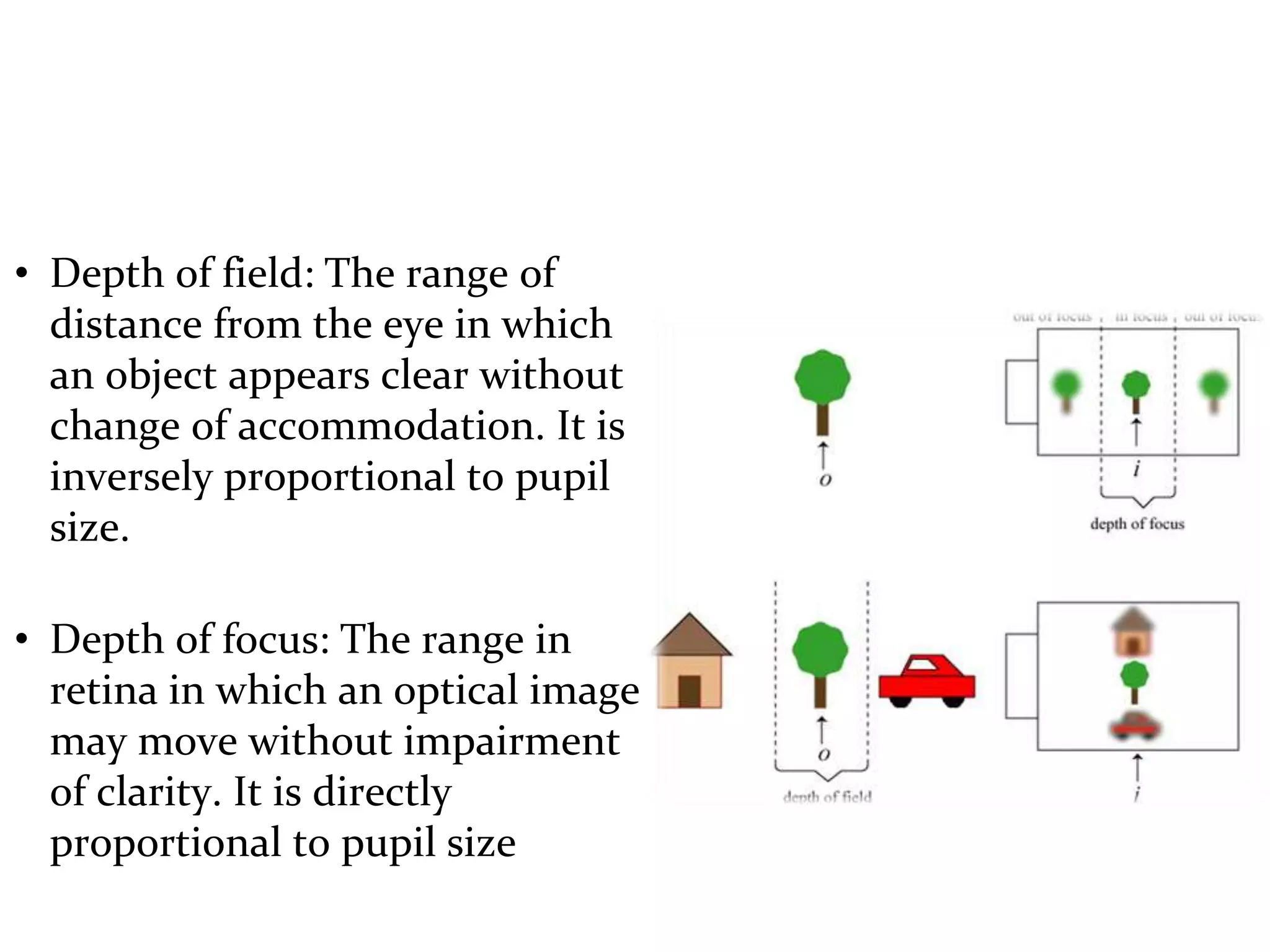 Accommodation and convergence | PPTX