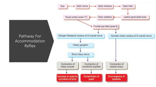 Accommodation and Convergence measurement and types | PPTX