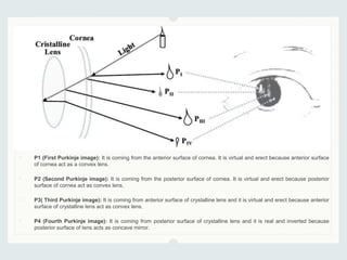 Accommodation by the eye.pptx
