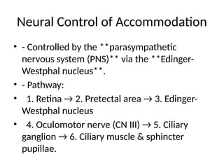Accommodation_Oculocardiac_hhhReflex.pptx