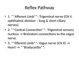 Accommodation_Oculocardiac_hhhReflex.pptx