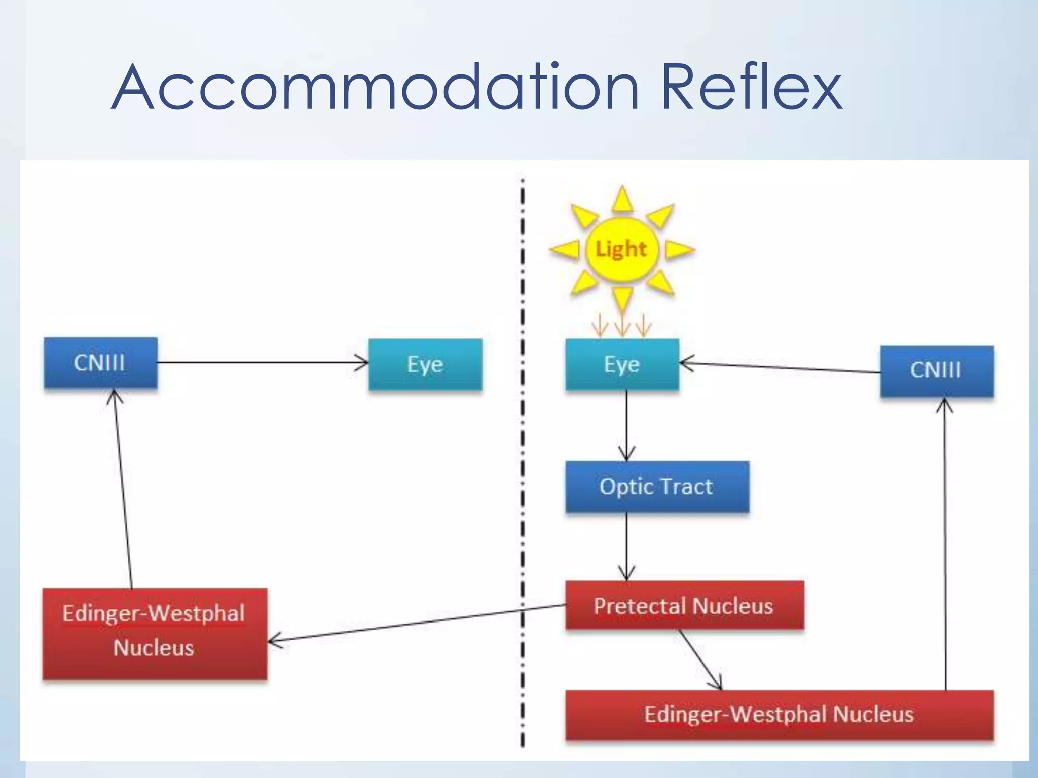 Accommodation of eye | PPTX