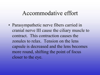 Accommodation turner | PDF