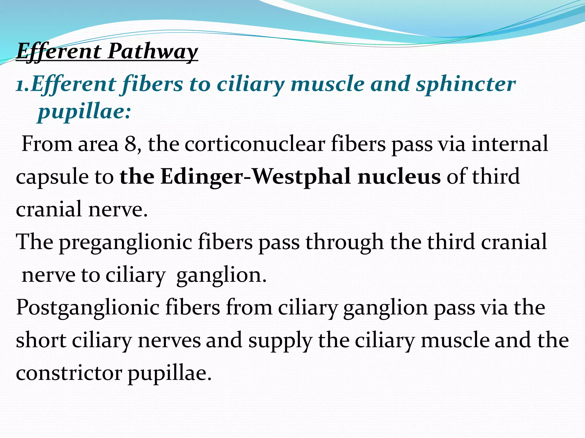 Accomodation reflex | PPTX
