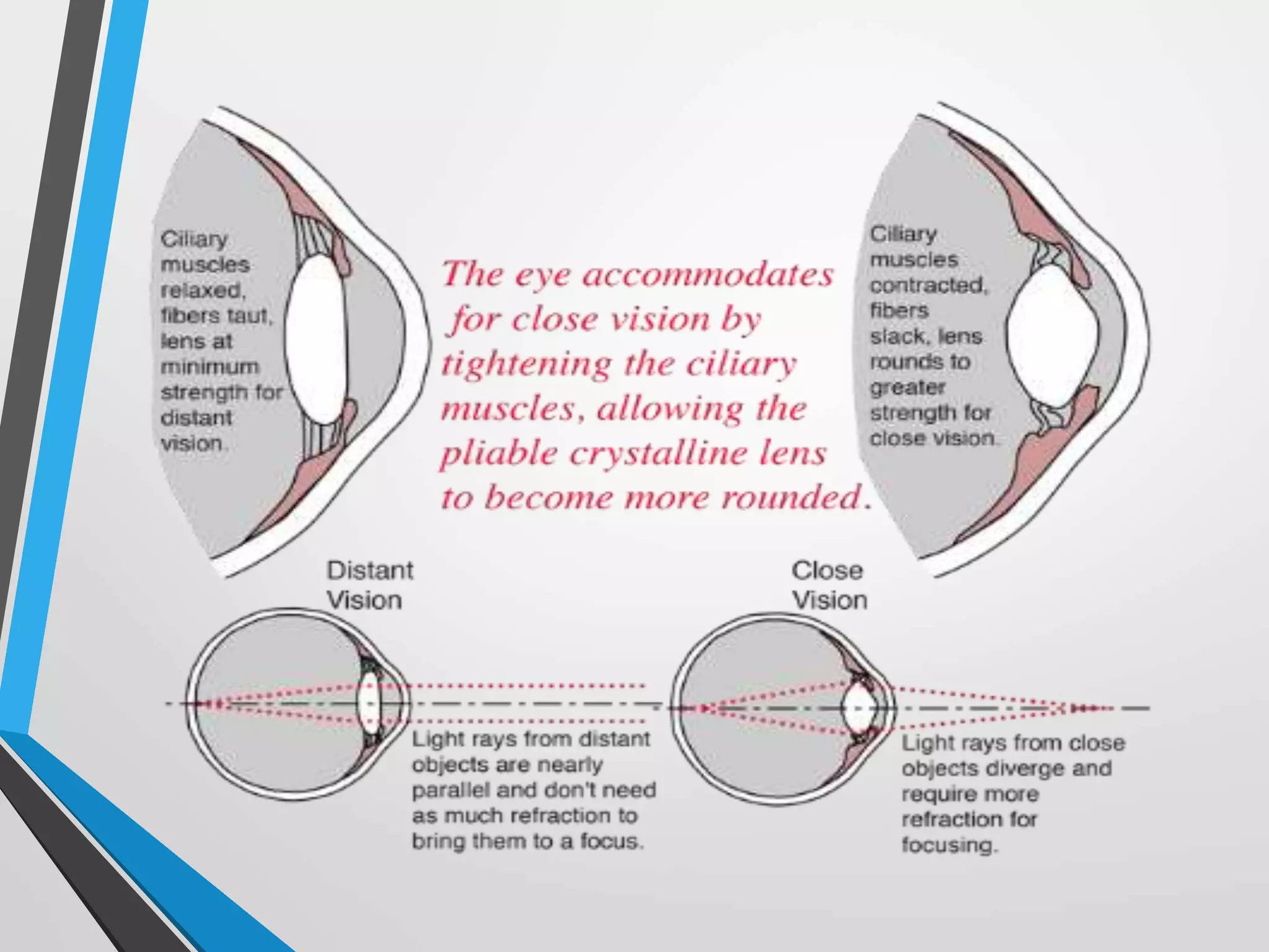 Accommodation: Theories and Mechanism | PPTX